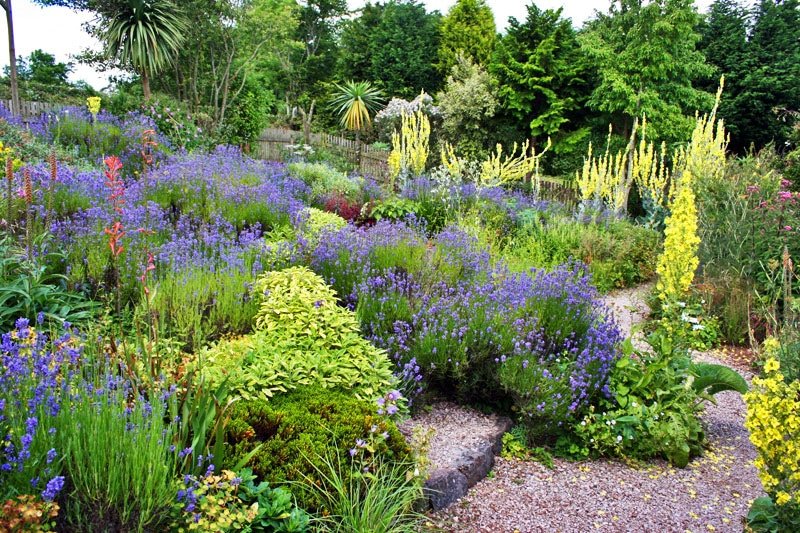 Plant World - iVisit