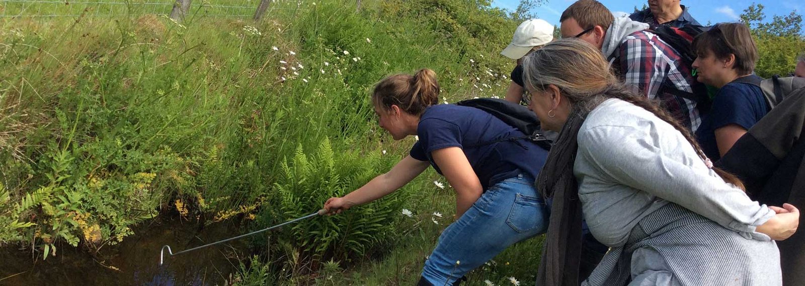 Parc Slip Wildlife Trust Nature Reserve - iVisit