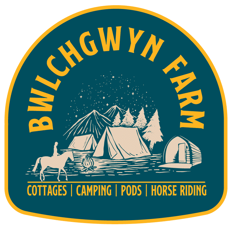 Pony Trekking at Bwlchgwyn Farm - iVisit