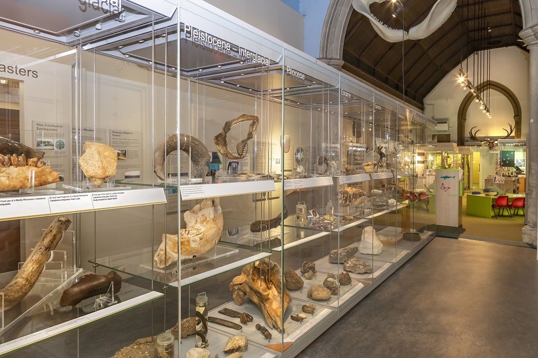 Colchester Castle Museum - iVisit