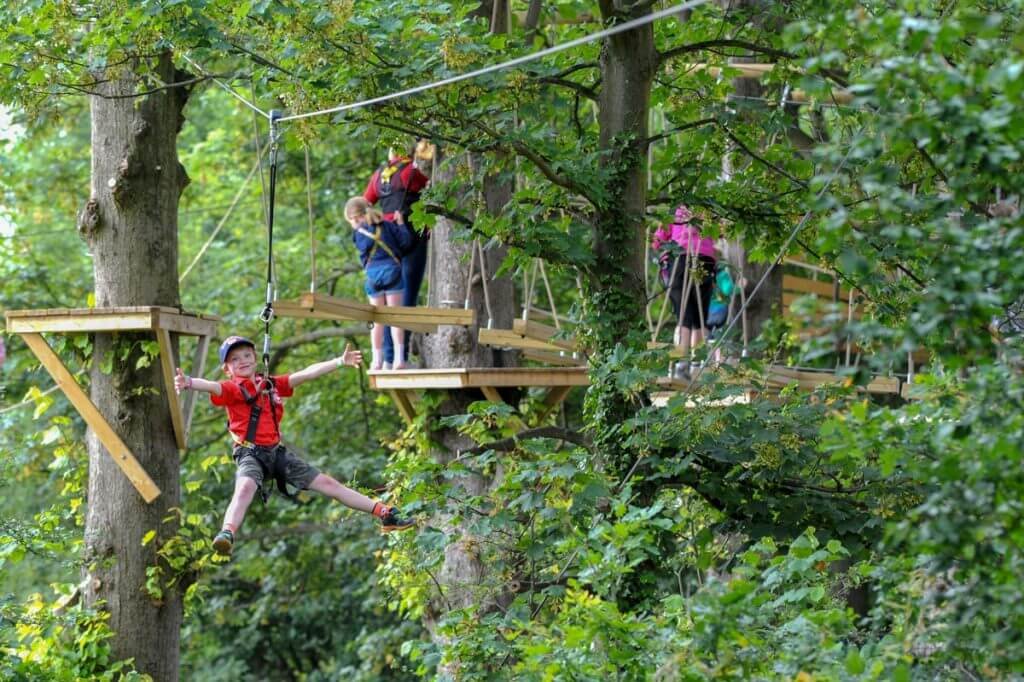 Discover Adventure From The Treetops - Go Ape England - iVisit