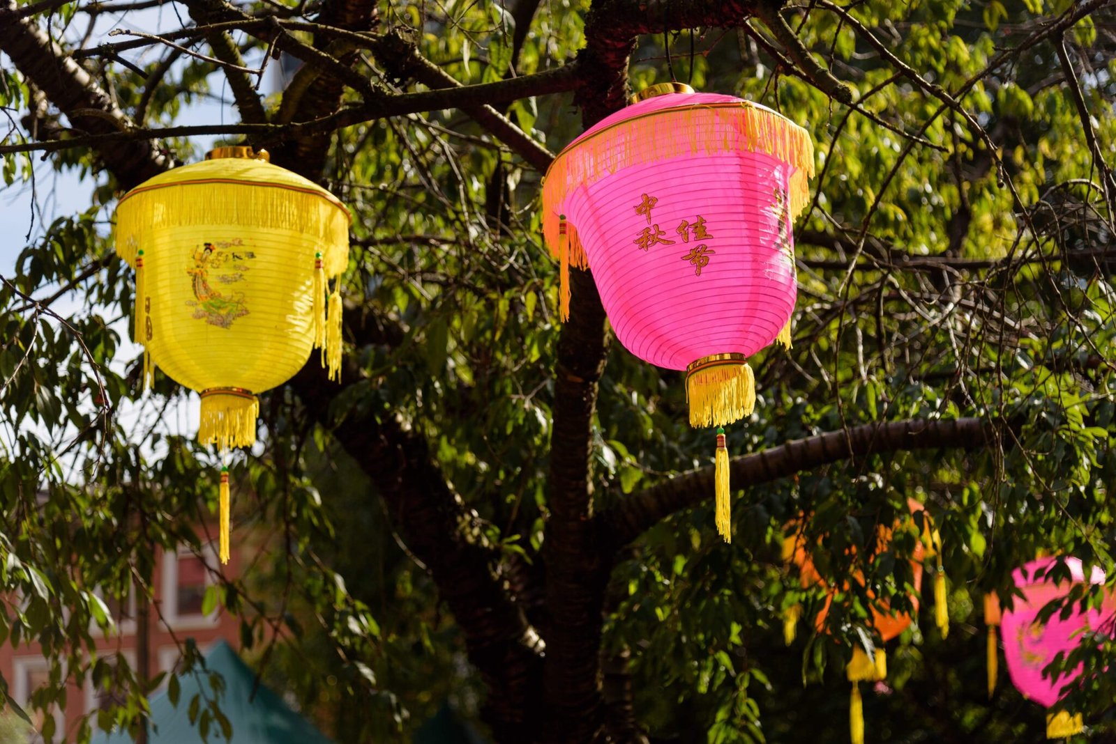 Illuminating the Night: Manchester Moon Festival 2023 - iVisit